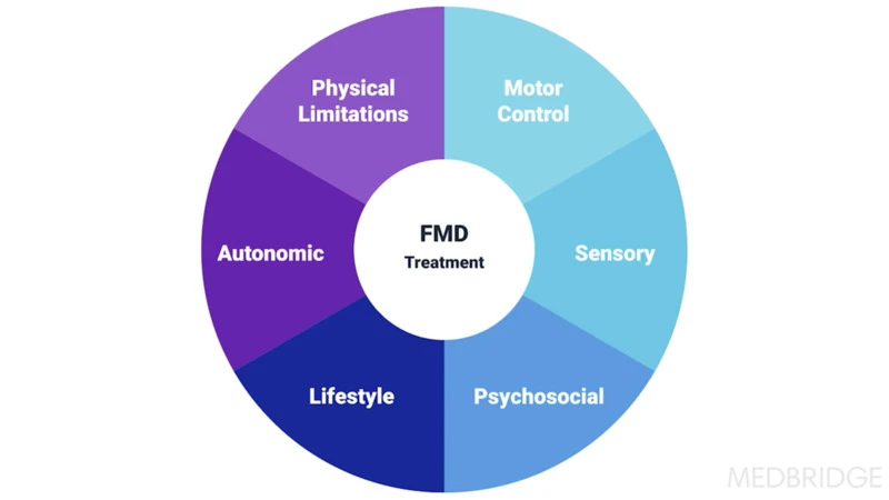 Functional Neurological Disorders: Evidence and Applications in ...
