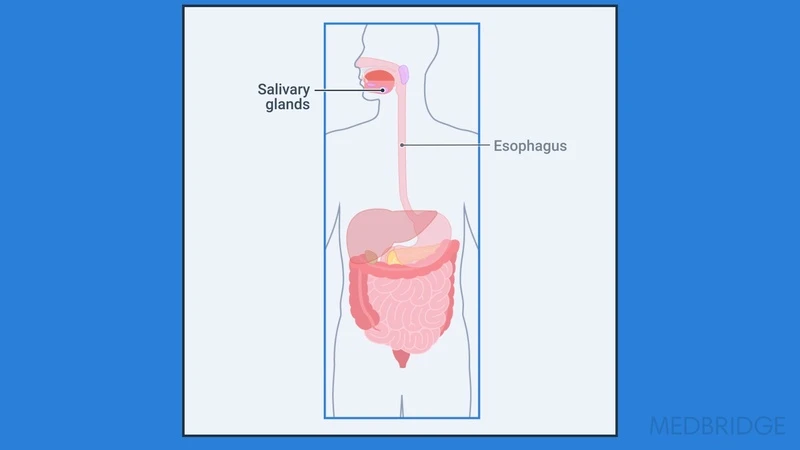 Constipation and the Pelvic Floor | Medbridge