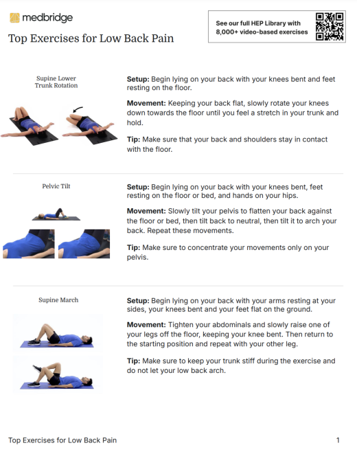 Top Exercises for Low Back Pain | Medbridge